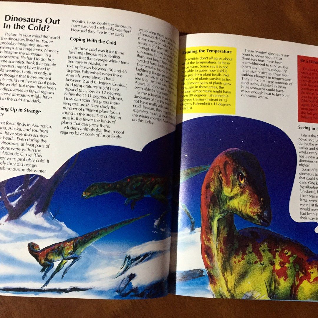 Dinosaur Mysteries by Mary O’Neill, Illustrated by John Bindon, Hobbies ...