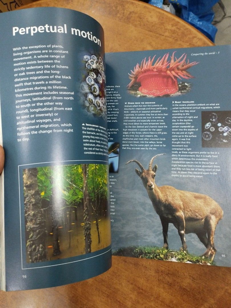(ENG) The Amazing Secrets Of Nature, Hobbies & Toys, Books & Magazines ...