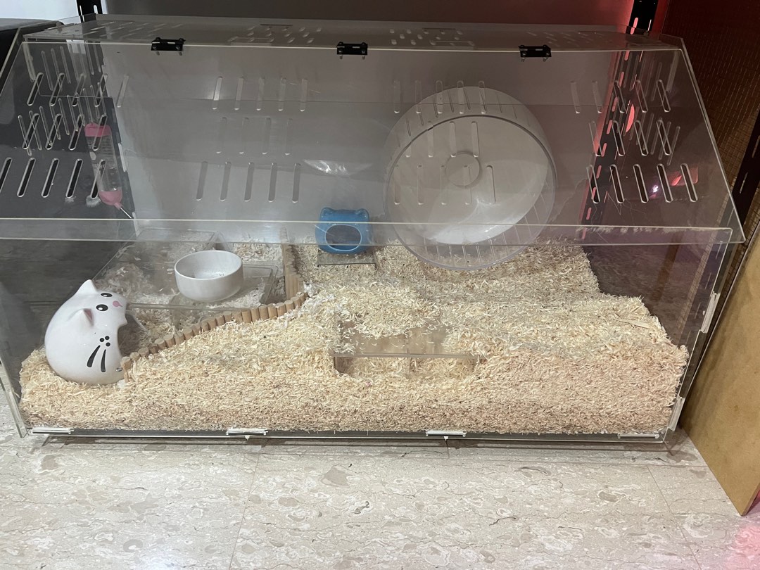 Hamster Acrylic Cage, Pet Supplies, Homes & Other Pet Accessories on ...