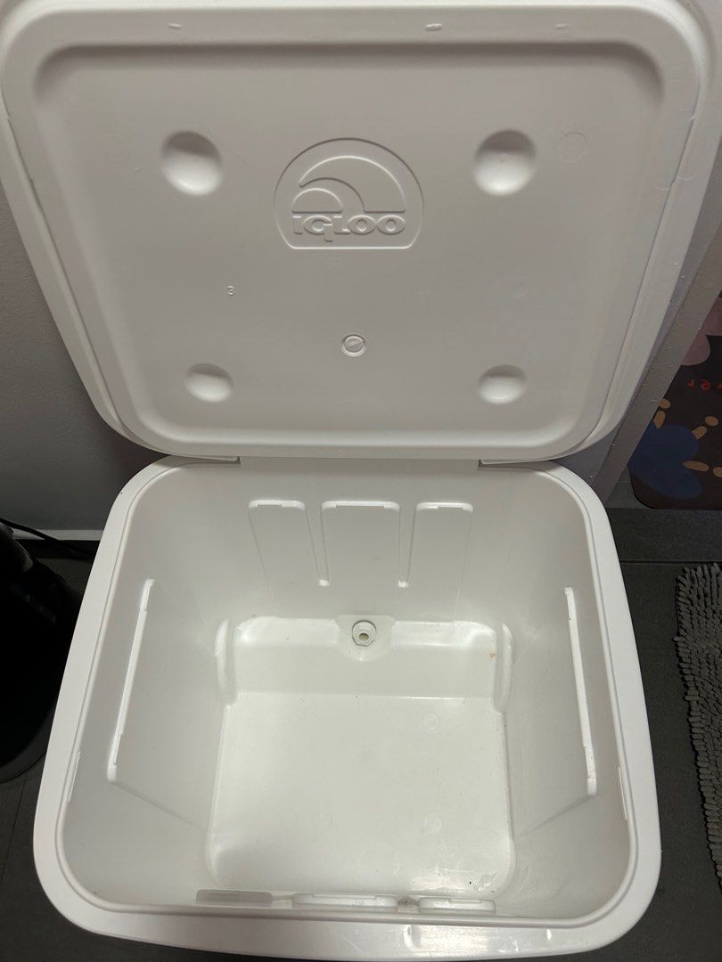Igloo cooler box, Furniture & Home Living, Home Improvement ...