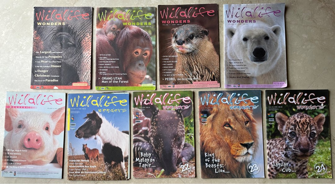 Old Wildlife Magazines, Hobbies & Toys, Books & Magazines, Magazines on ...
