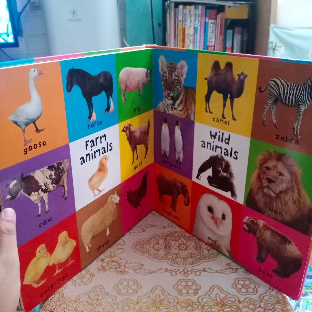 Priddy First 100 words Big Boardbook, Hobbies & Toys, Books & Magazines ...