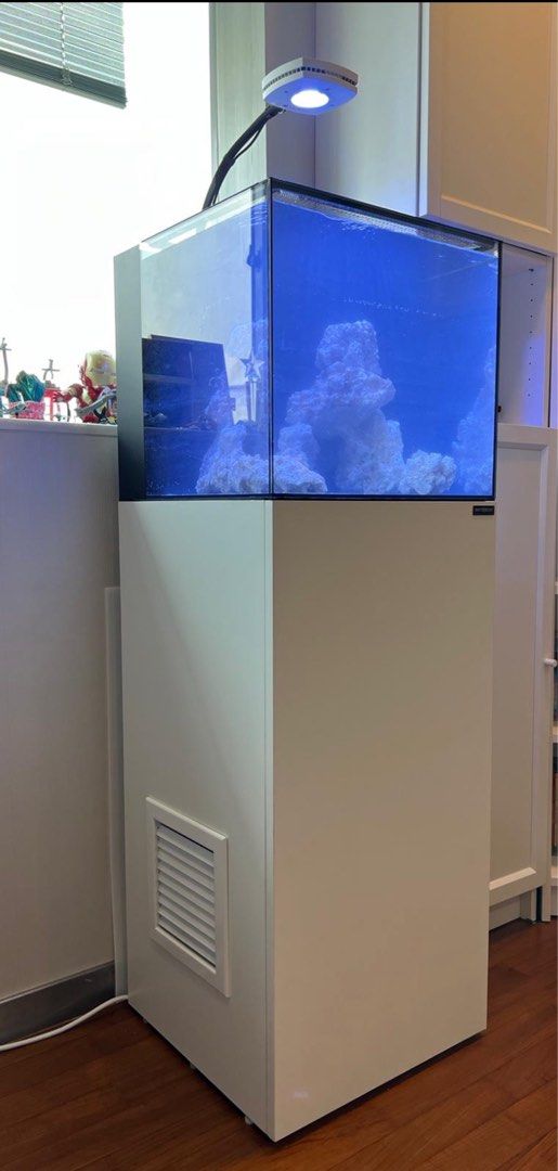 Waterbox Cube 20 with Chiller, Pet Supplies, Homes & Other Pet ...