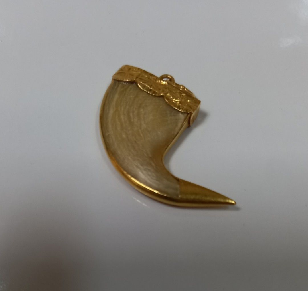22k gold encased Tiger claw pendant, Hobbies & Toys, Memorabilia ...