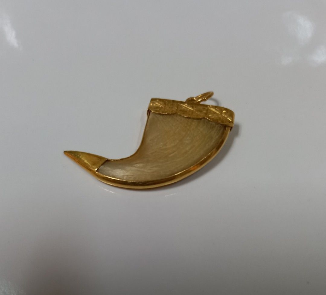 22k gold encased Tiger claw pendant, Hobbies & Toys, Memorabilia ...