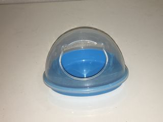 Preloved hamster Dijual | Carousell Indonesia