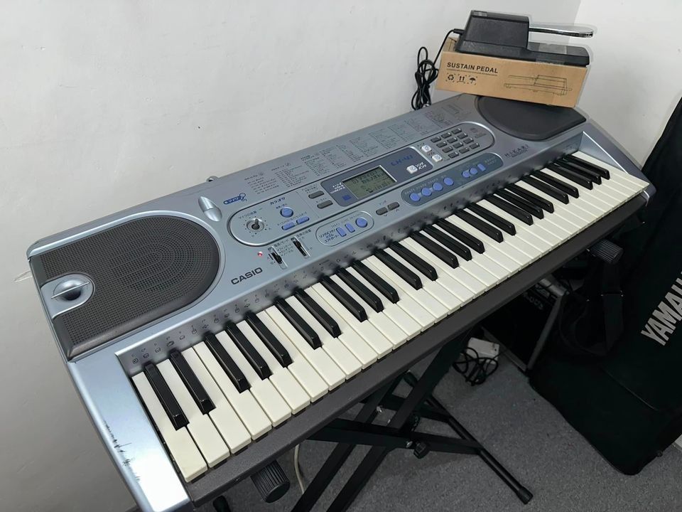 Casio LK41 61 Keys Touch Response Piano Keyboard, Hobbies & Toys, Music ...
