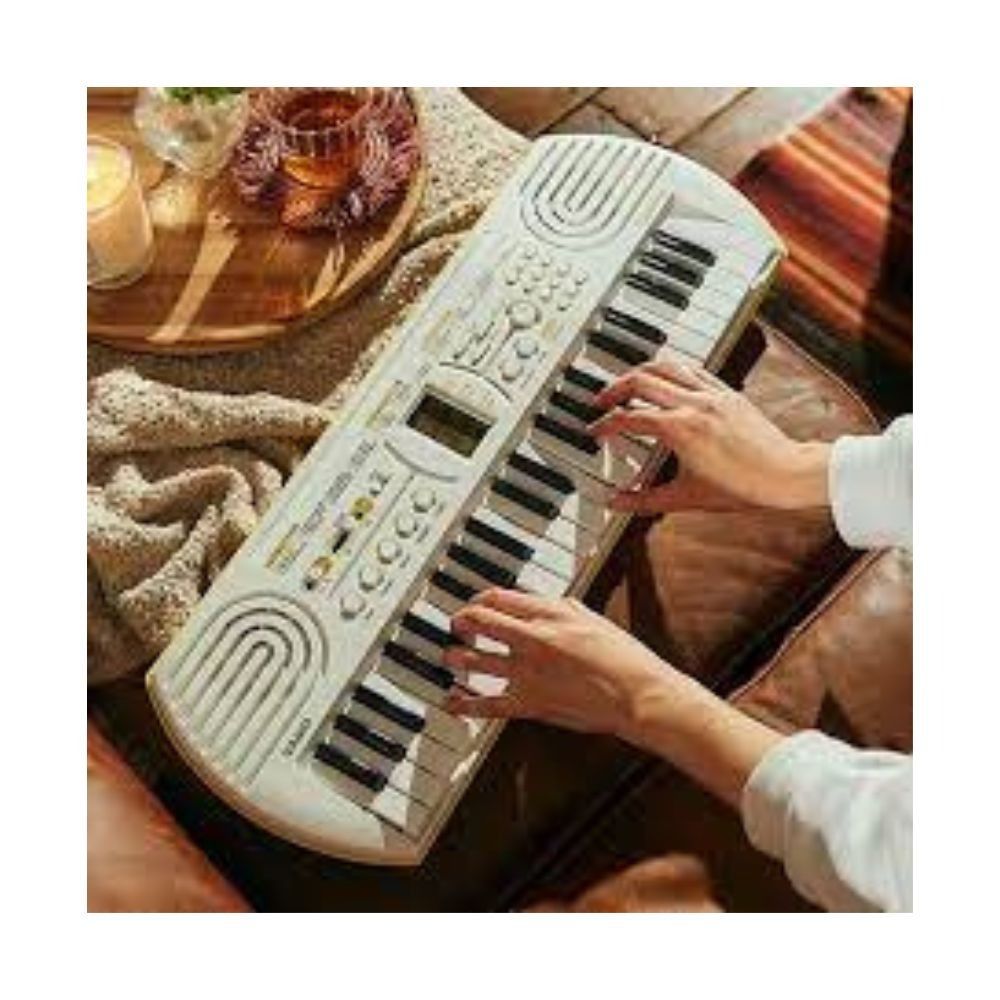 Casio SA-80 Casiotone 44 Key Kids Mini Portable Keyboard, Hobbies ...
