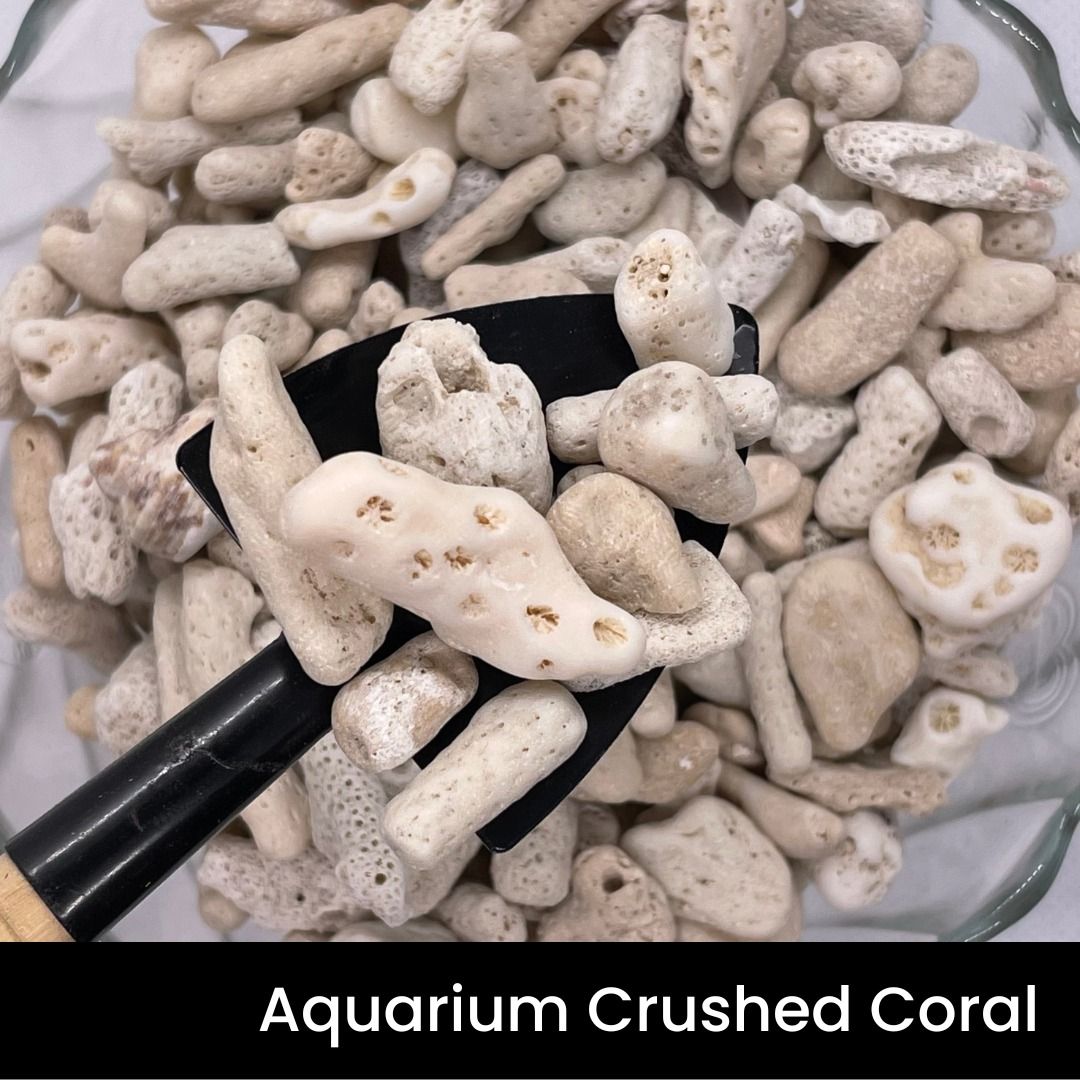 Crushed Coral - Filter Media and pH Buffer For Koi Fish Pond & tanks ...