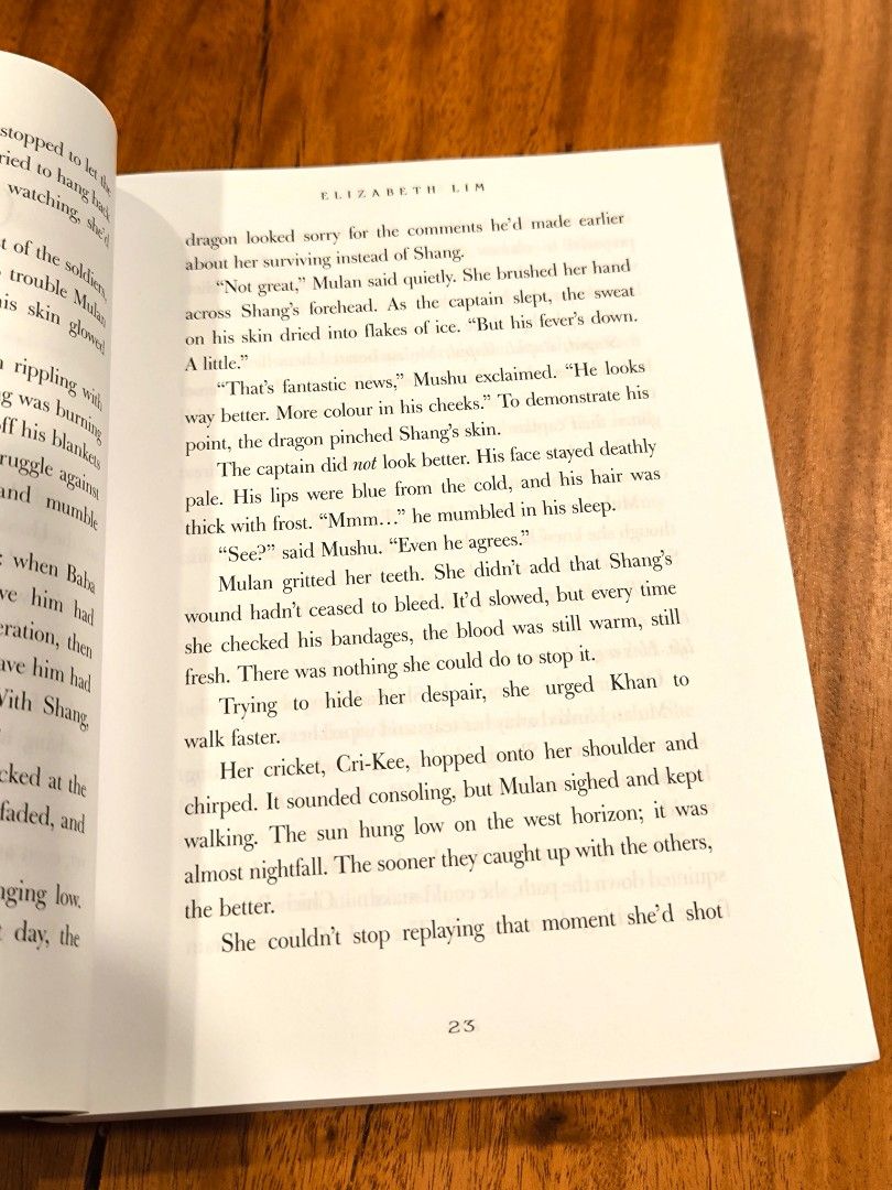 Disney's Reflection A Twisted Tale What If Mulan Had To Travel To The ...