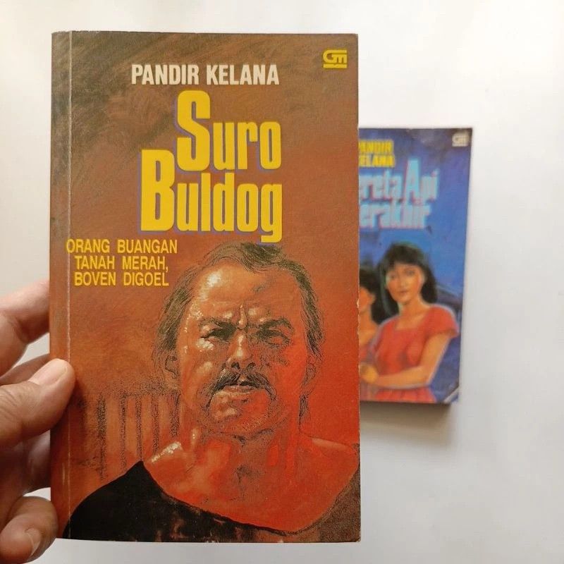 Novel jadul pandir kelana, Buku & Alat Tulis, Buku di Carousell