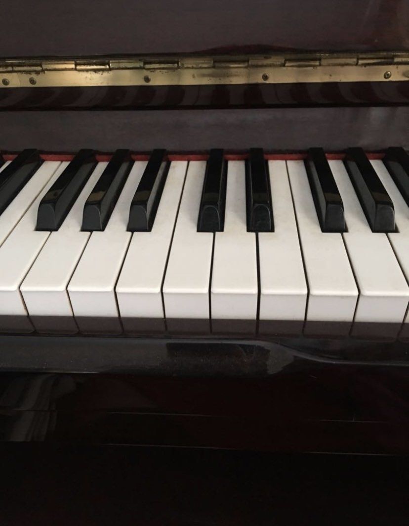 Richard Meyer Piano, Hobbies & Toys, Music & Media, Musical Instruments ...