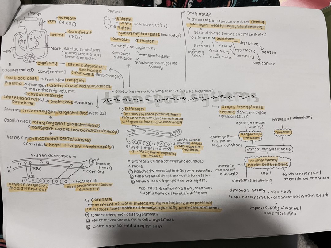 Secondary 2 Science Notes, Hobbies & Toys, Stationery & Craft ...