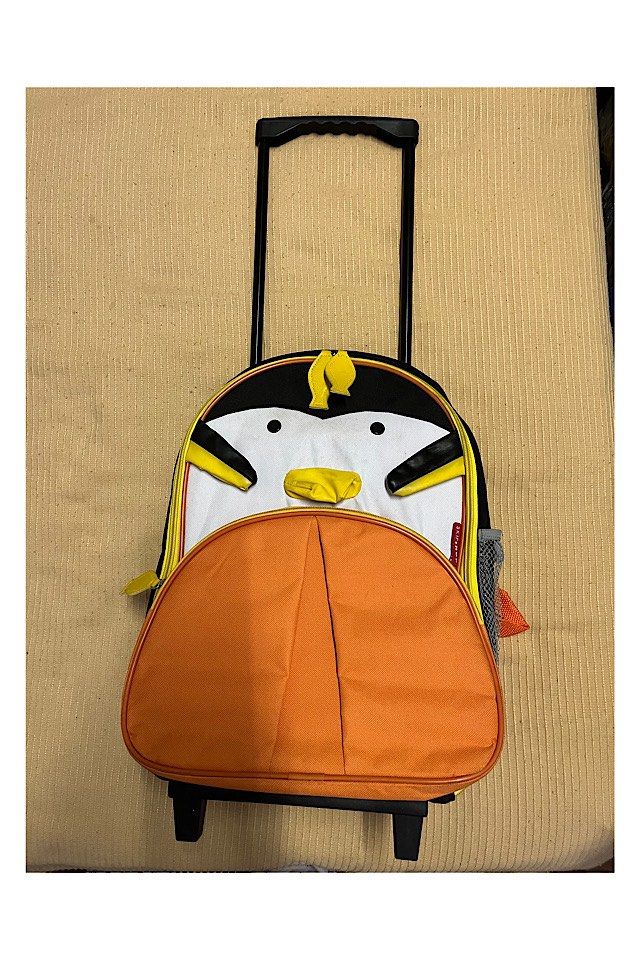 Skip hop penguin trolley never used, Babies & Kids, Going Out, Other ...