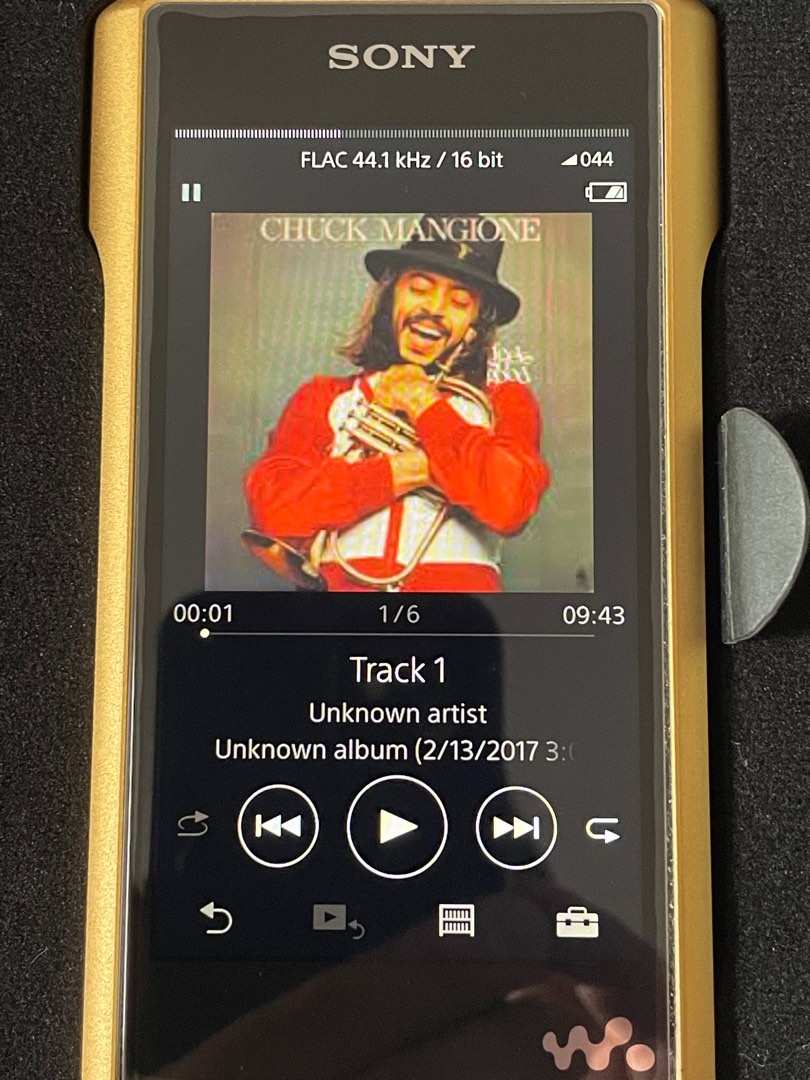 Sony WM1z DAP, Audio, Portable Music Players on Carousell