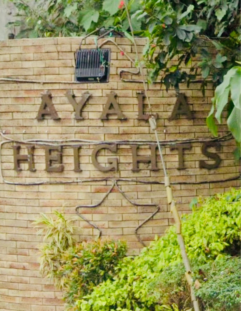 Vacant lot for sale Ayala Heights, Property, For Sale, Lot on Carousell