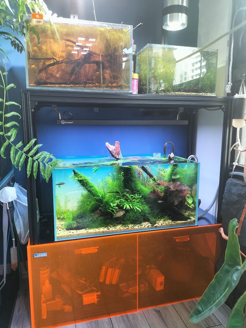 Aluminum 3tier fish tank rack, Pet Supplies, Homes & Other Pet ...