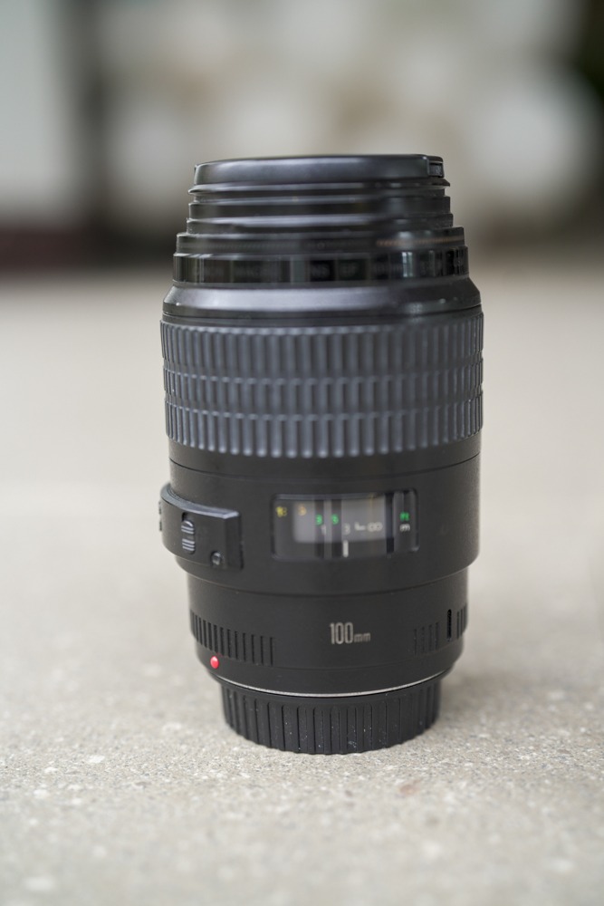 Canon 100mm 2.8 Macro USM with Sigma MC-11 Adapter, Photography ...