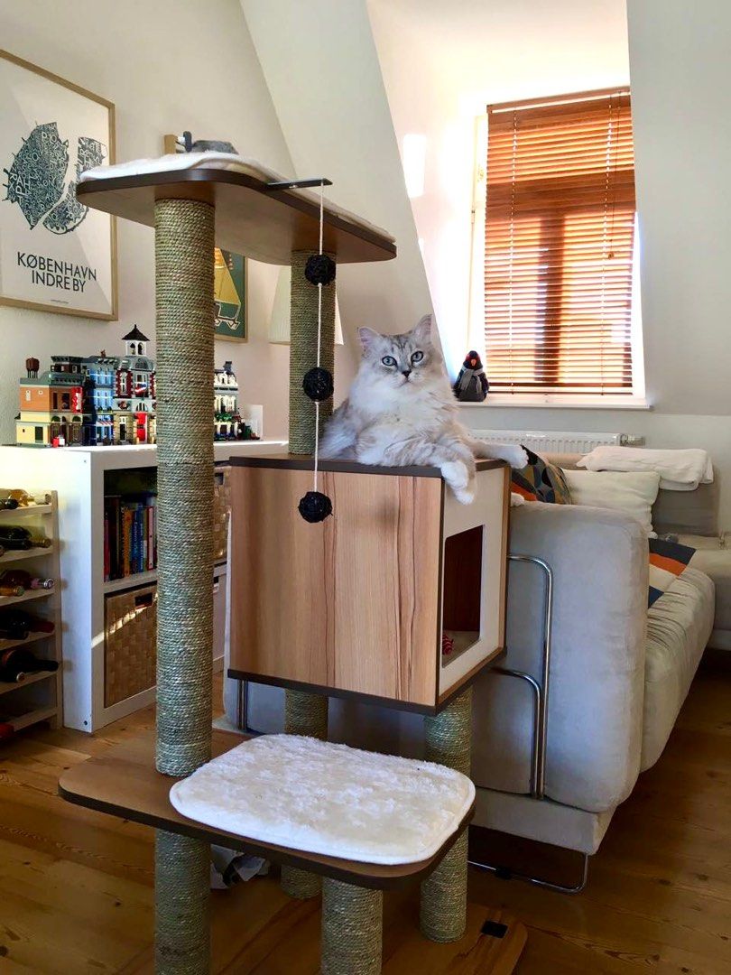 Catit Vesper cat tree, Pet Supplies, Homes & Other Pet Accessories on ...