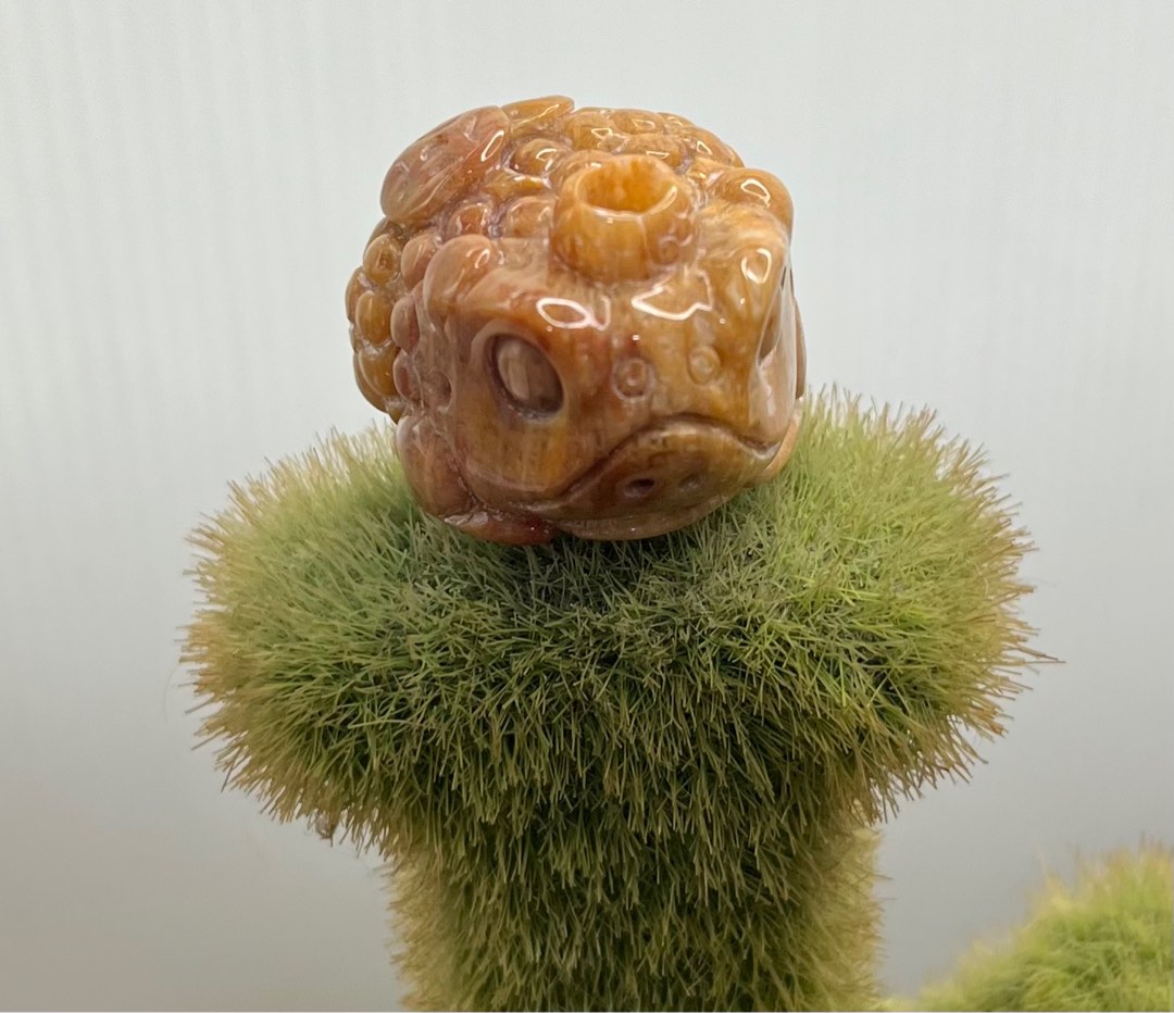 Coral jade wealth toad display, Women's Fashion, Jewelry & Organisers ...