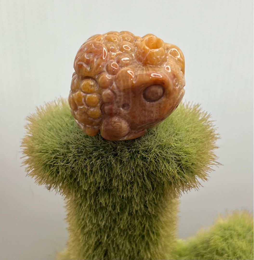 Coral jade wealth toad display, Women's Fashion, Jewelry & Organisers ...