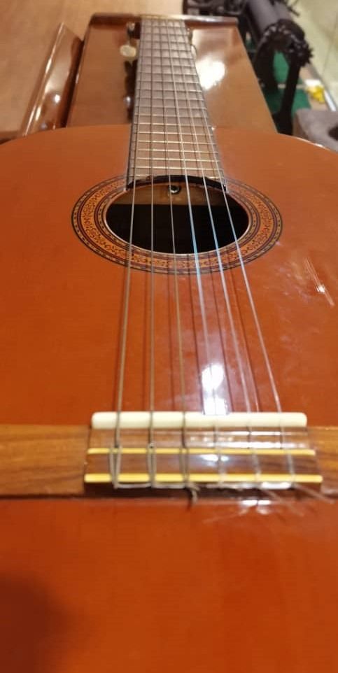 Guitar Classic Stagg Handmade Serial Number, Hobbies & Toys, Music ...