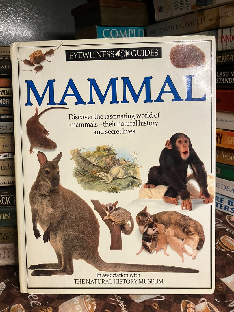 HARDCOVER DK Dorling Kindersley Eyewitness Guides Mammal Science Animal UK Children's Book 1990 ...