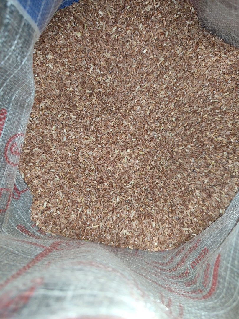 HEALTHY Brown Rice from Baguio - Angeles City Pampanga, Food & Drinks ...