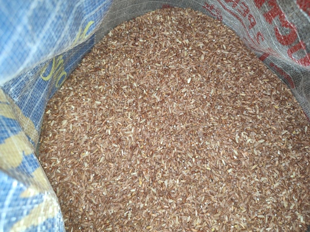 HEALTHY Brown Rice from Baguio - Angeles City Pampanga, Food & Drinks ...