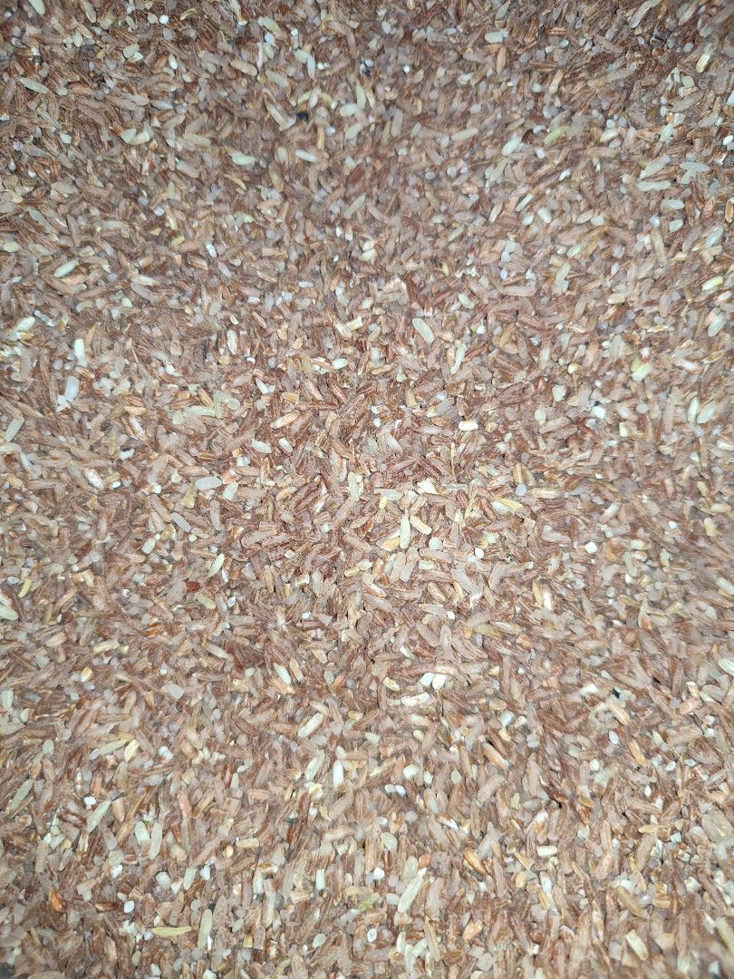 HEALTHY Brown Rice from Baguio - Angeles City Pampanga, Food & Drinks ...