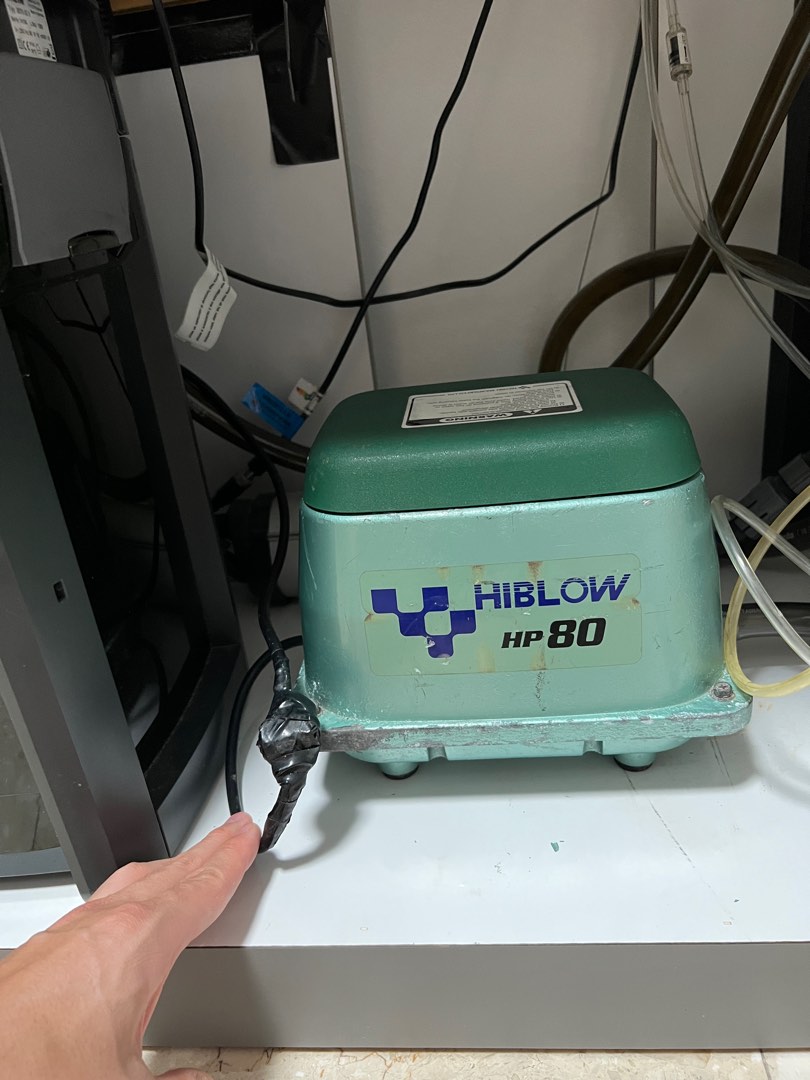 Hiblow 80 Air Pump, Pet Supplies, Homes & Other Pet Accessories on ...