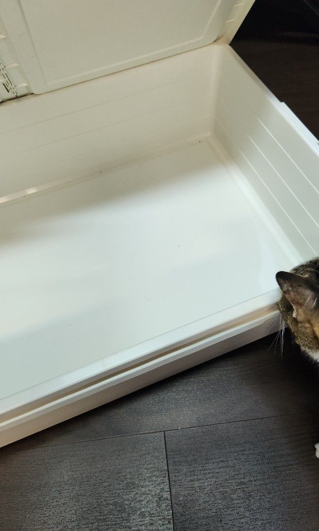 IKEA Sockerbit Storage Box, Furniture & Home Living, Home Improvement ...