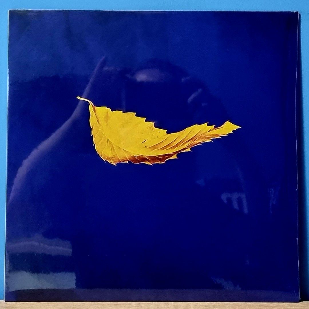 12" : New Order - True Faith / 1963, Hobbies & Toys, Music & Media ...