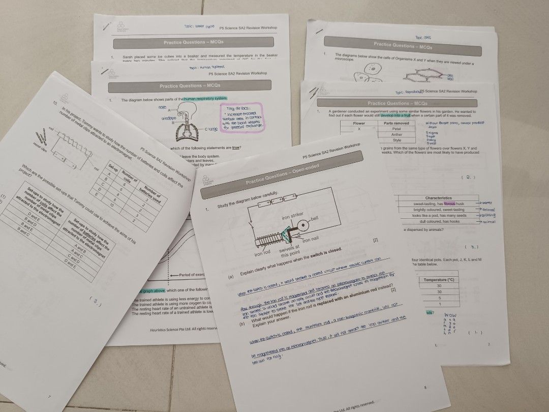 Primary 5 Science Revision Practice Questions Package (Both MCQ and ...