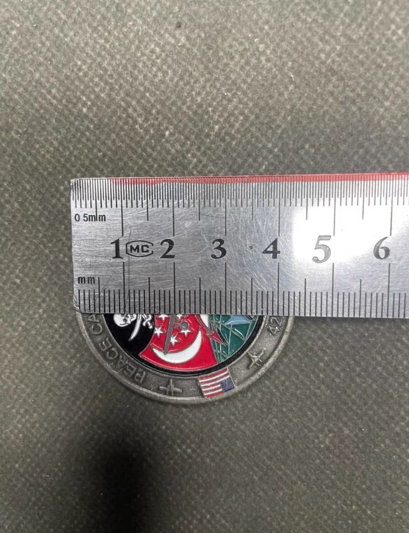 Republic of Singapore Air Force (RSAF) Commemorative Coin [Peace Carvin ...