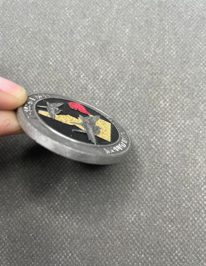 Republic of Singapore Air Force (RSAF) Commemorative Coin [Peace Carvin ...