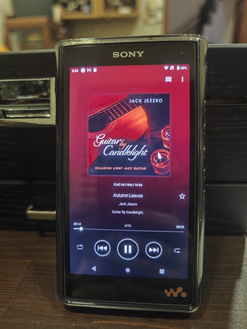 Sony Wm1am2 DAP, Audio, Portable Music Players on Carousell