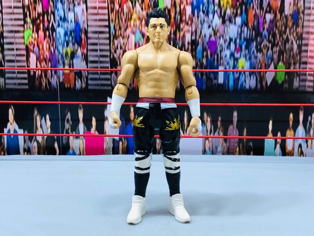 WWE Basic Action Figures, Hobbies & Toys, Toys & Games on Carousell