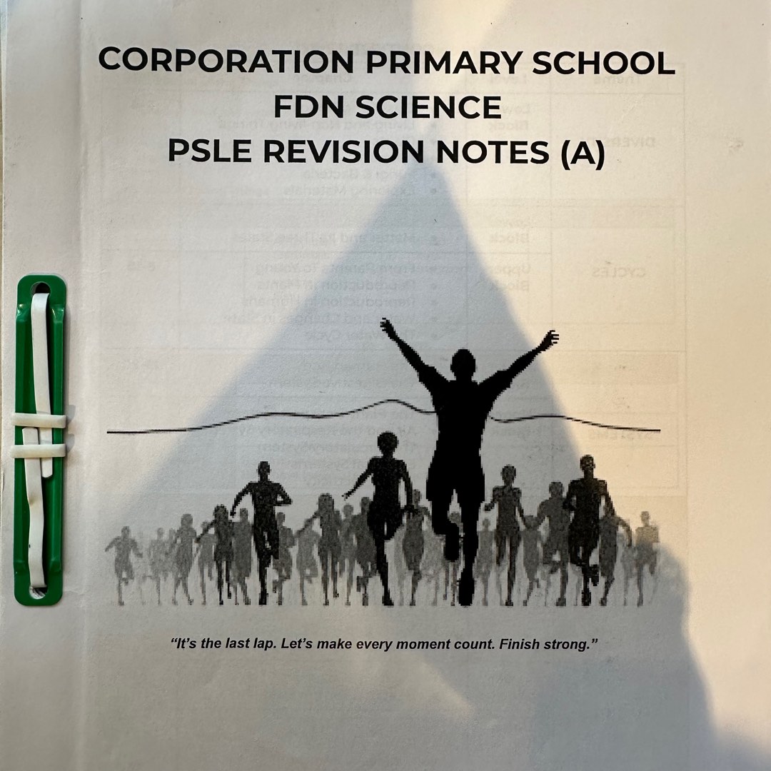 2023 Foundation PSLE SCIENCE NOTES, Hobbies & Toys, Books & Magazines ...