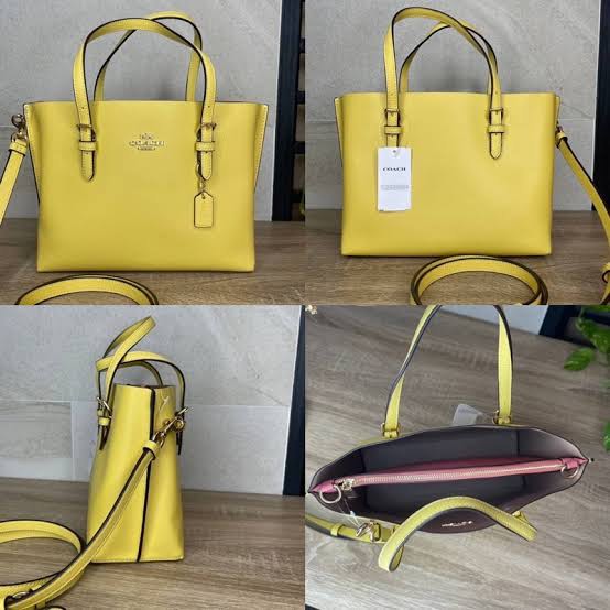 Coach Mollie 25 Mini Tote Bag, Luxury, Bags & Wallets on Carousell