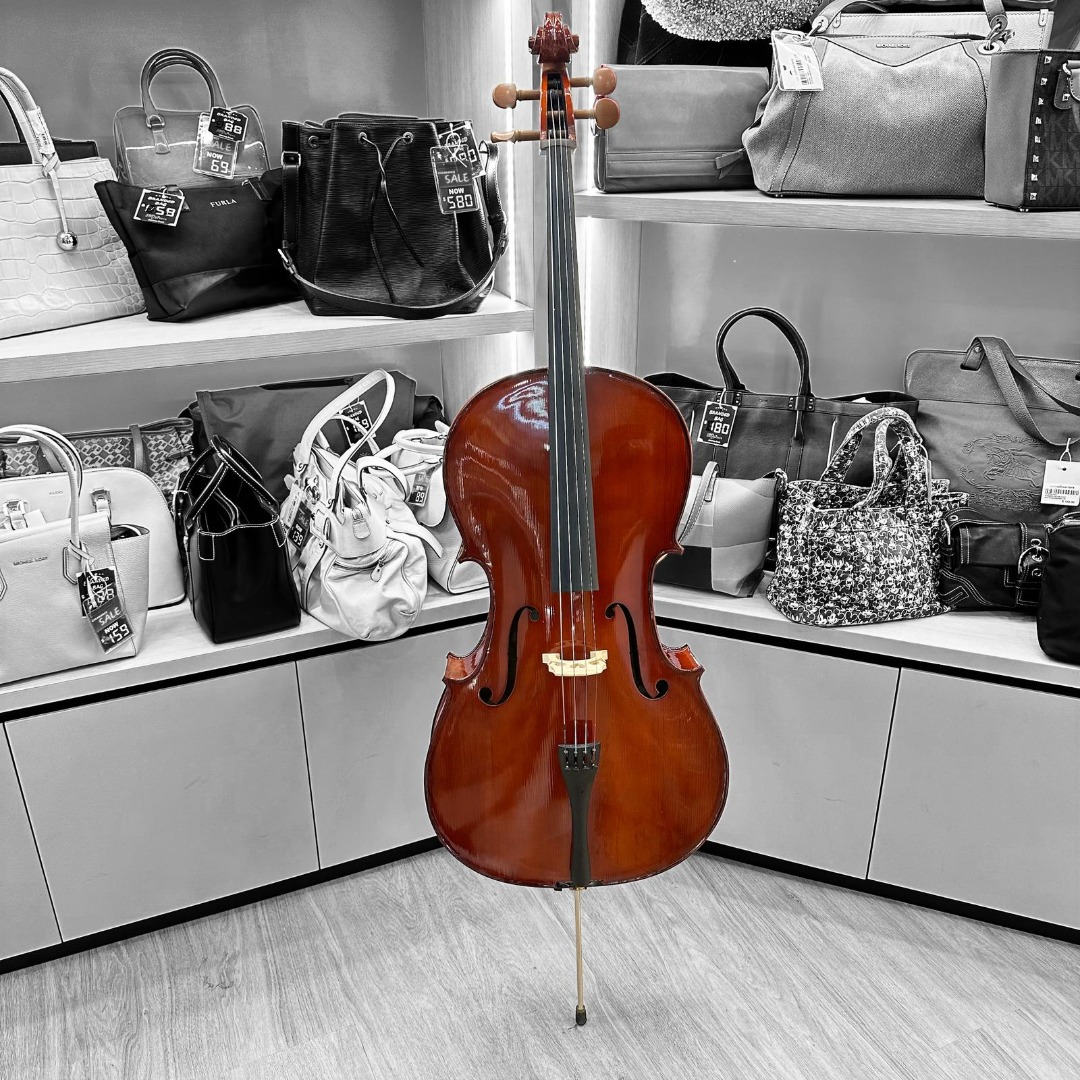 JE-Eurostring M200 Cello 4/4, Hobbies & Toys, Music & Media, Musical ...