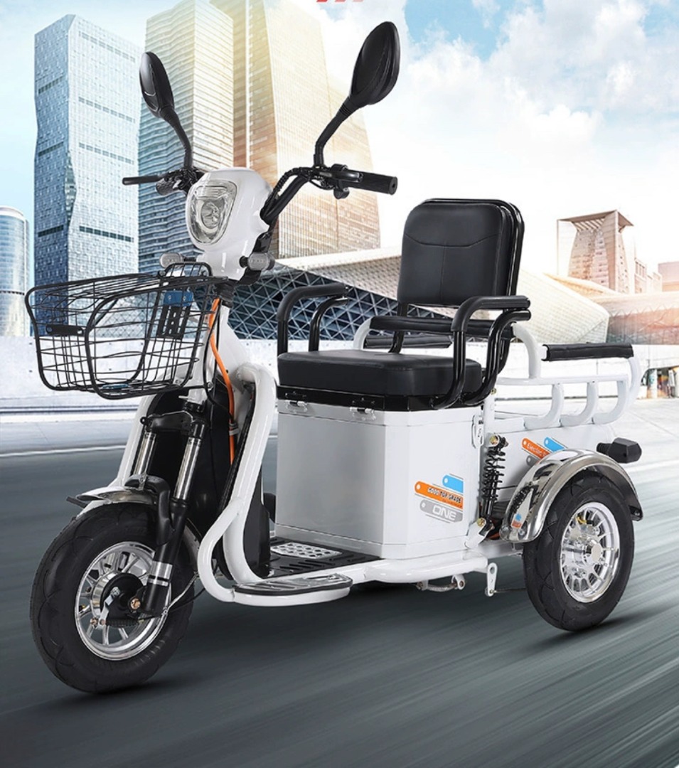 Family Cruiser: Electric Tricycle with a maximum power of 500w and 48v ...