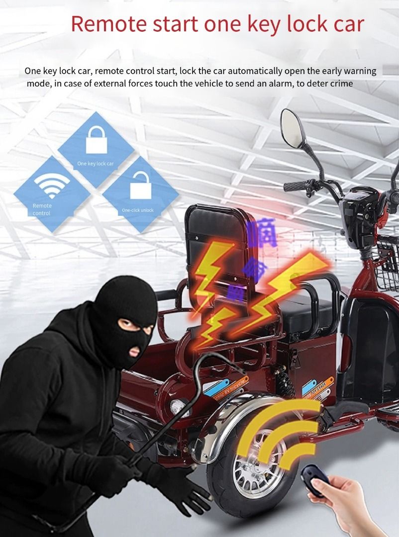 Family Cruiser: Electric Tricycle with a maximum power of 500w and 48v ...