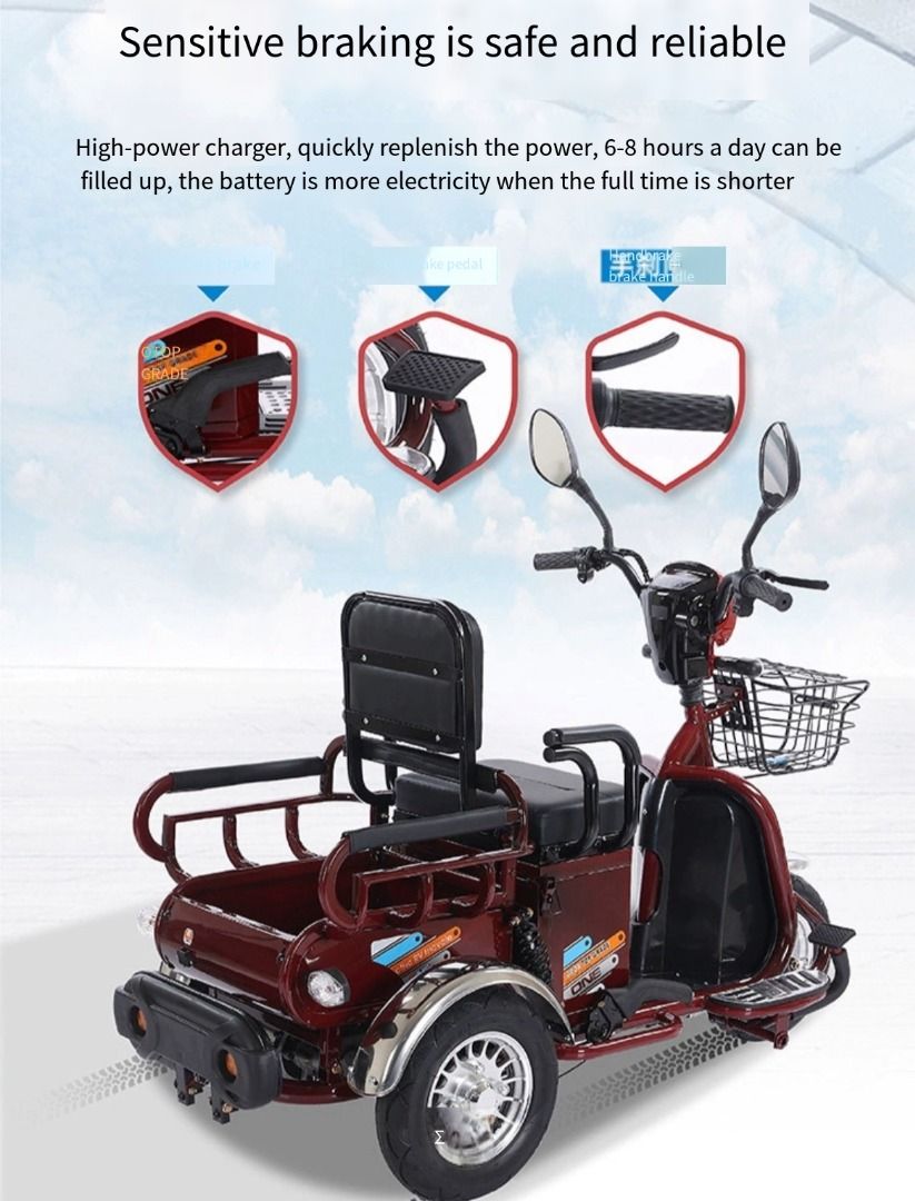 Family Cruiser: Electric Tricycle with a maximum power of 500w and 48v ...