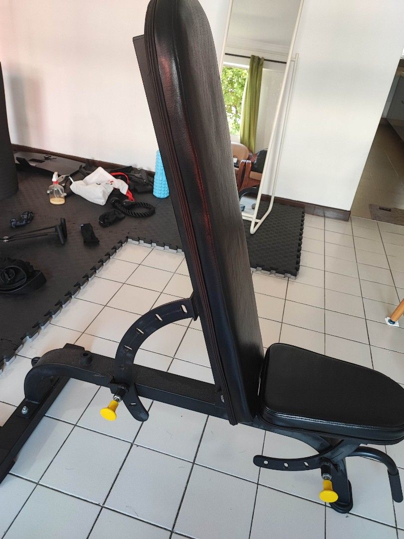 Gym Chair, Sports Equipment, Exercise & Fitness, Weights & Dumbbells on ...