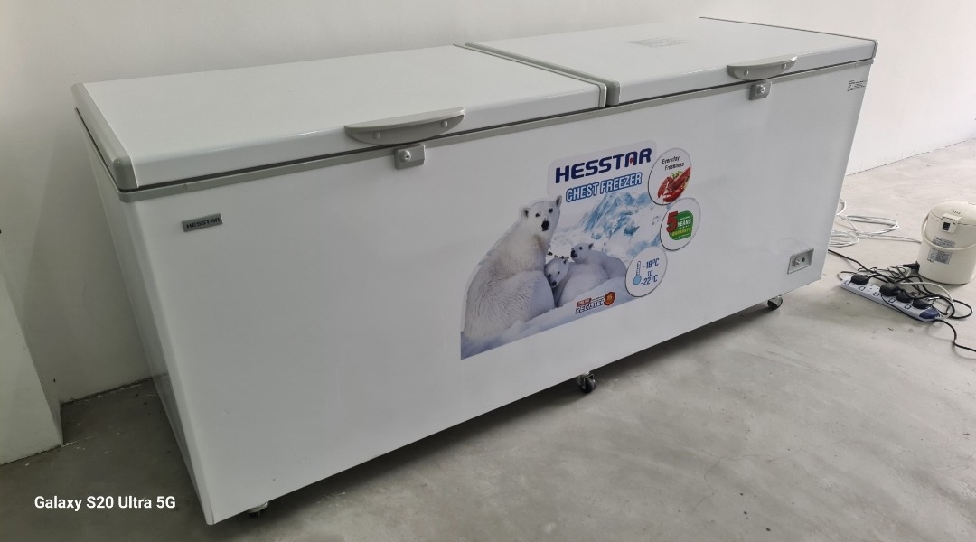 Hesstar 930L Chest Freezer, TV & Home Appliances, Kitchen Appliances ...