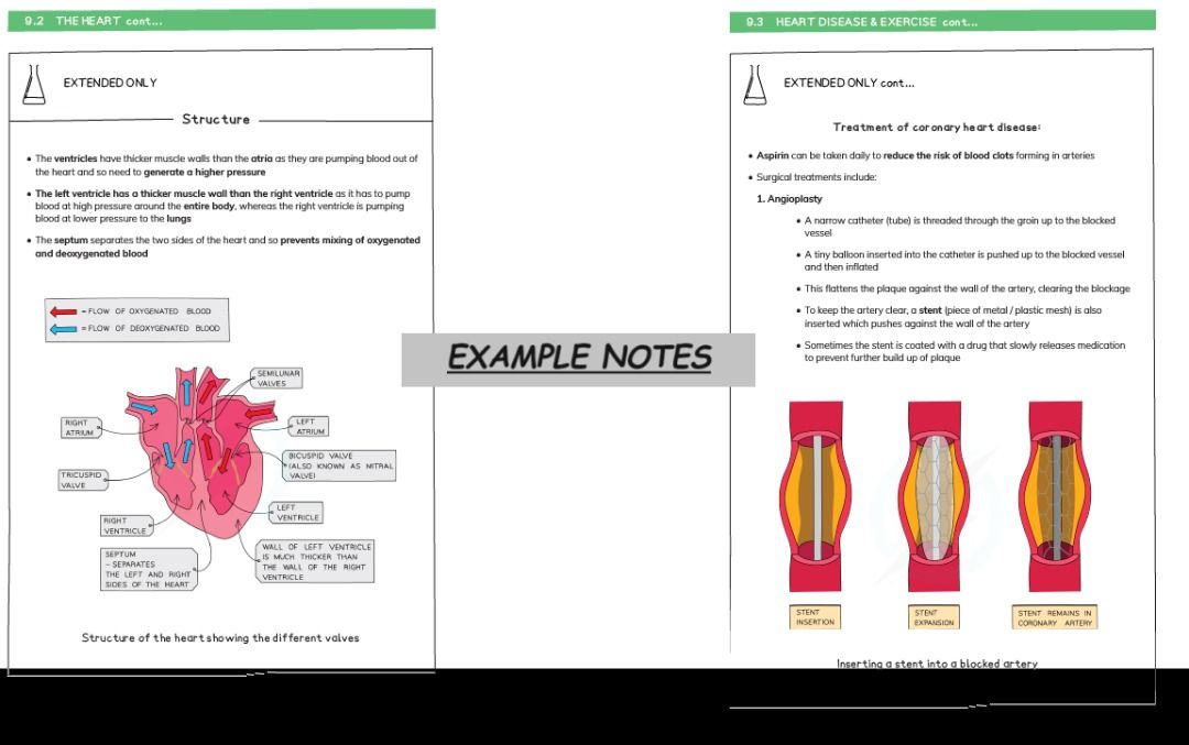 IGCSE & CIE notes - BIOLOGY - everything included, Hobbies & Toys ...