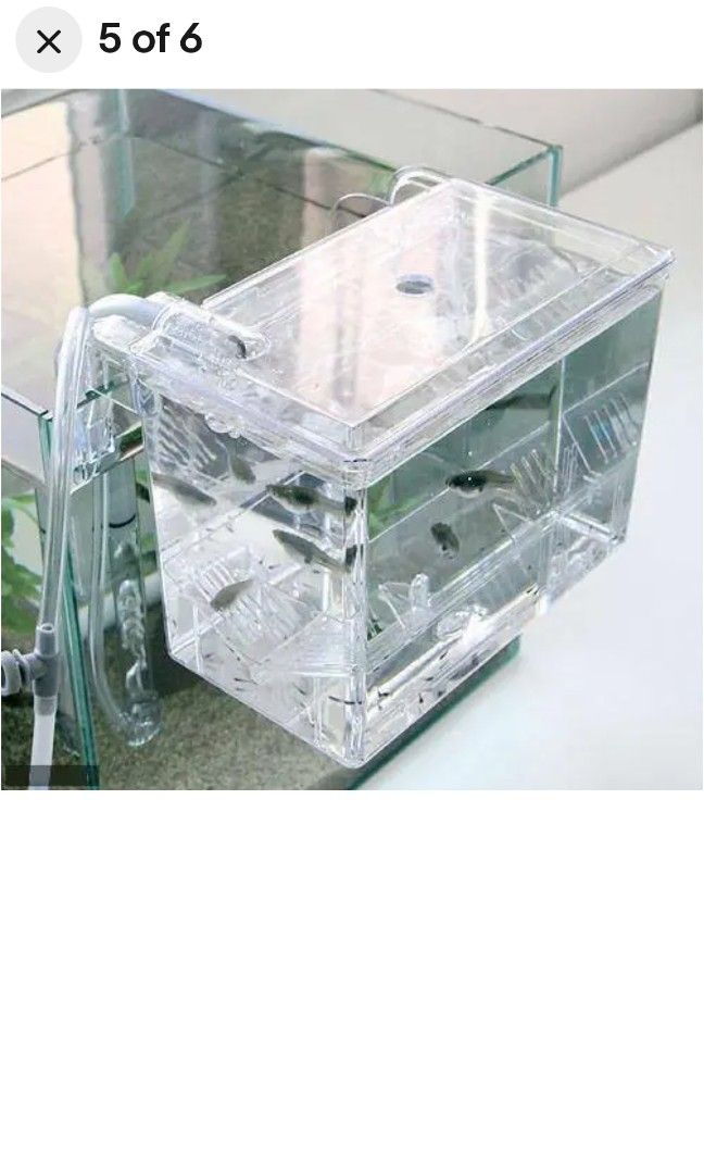 Ista isolation box, Pet Supplies, Homes & Other Pet Accessories on ...