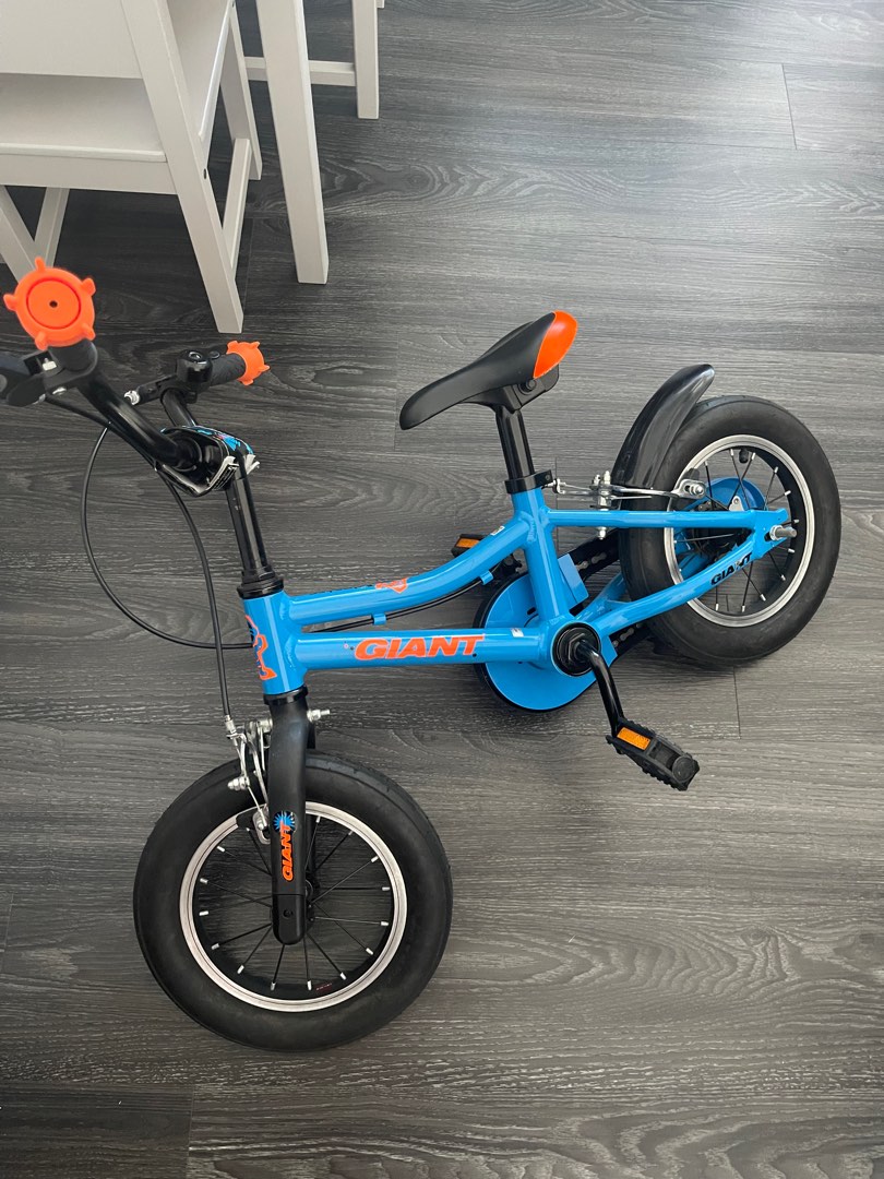 Kids Bicycle Giant Animator, Sports Equipment, Bicycles & Parts, Bicycles on Carousell
