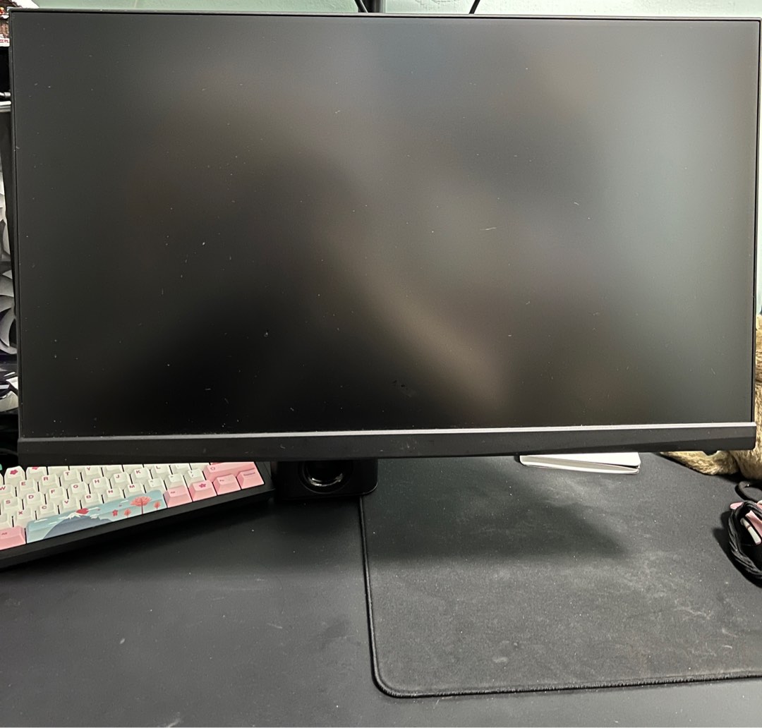 MSI MAG251RX 240hz monitor, Computers & Tech, Parts & Accessories ...